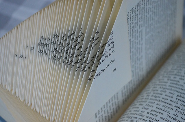 Literary Hub » book-375458_640