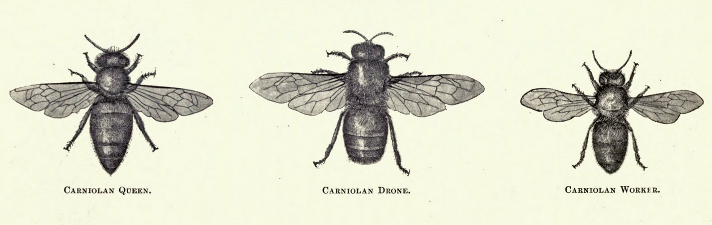 Haikus of Grief, Silence in Harlem ‹ Literary Hub