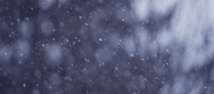Literary Hub » “The First Snowfall” by Guy de Maupassant