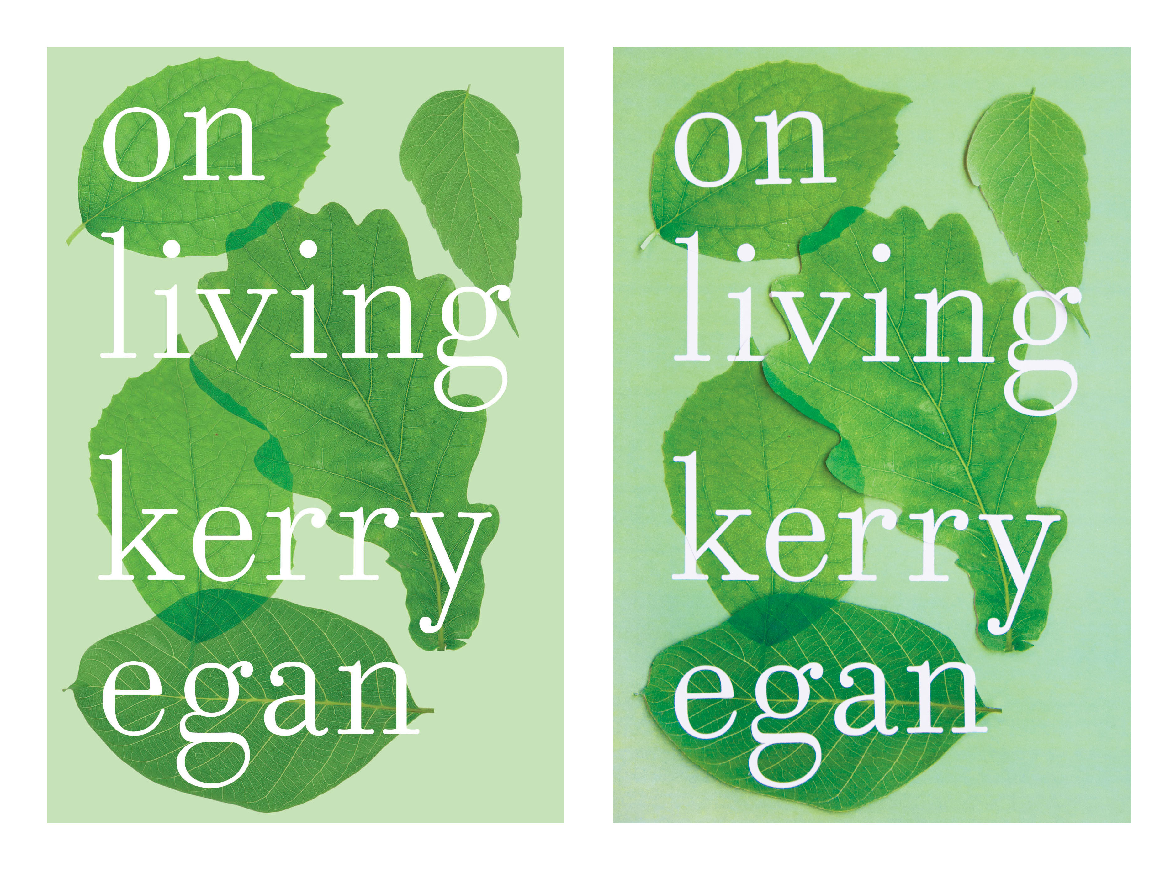 Secrets of the Book Designer: Creating Something From Nothing ...