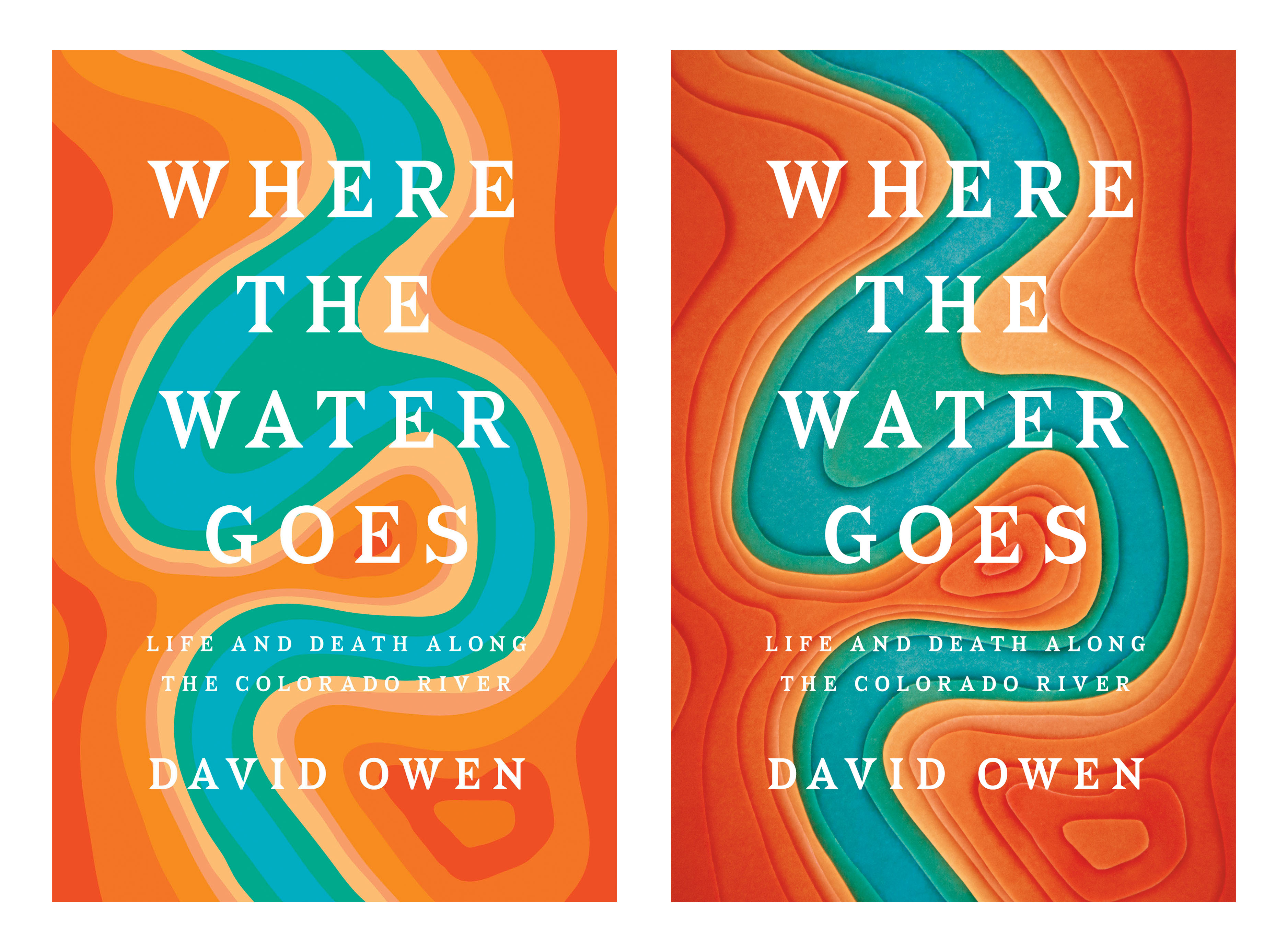 Secrets of the Book Designer: Creating Something From Nothing ...