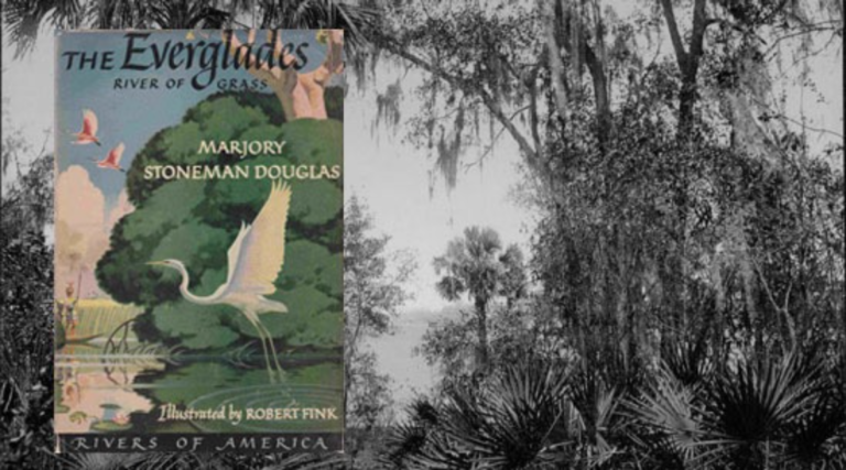 Literary Hub » 10 Trailblazing Environmental Books for Earth Day