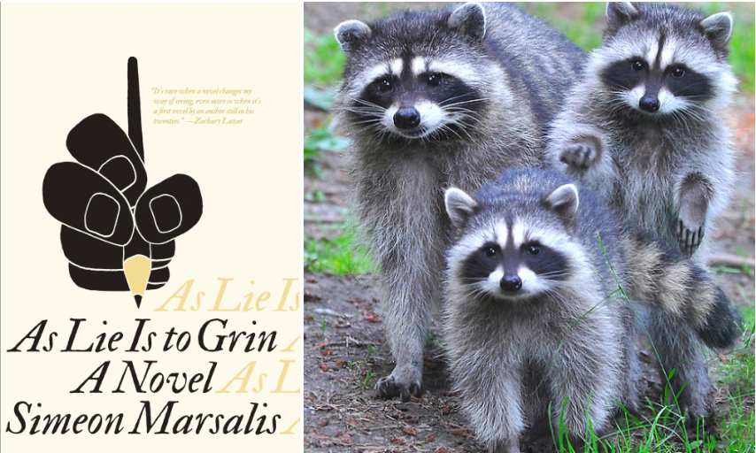 What We Loved This Week ‹ Literary Hub