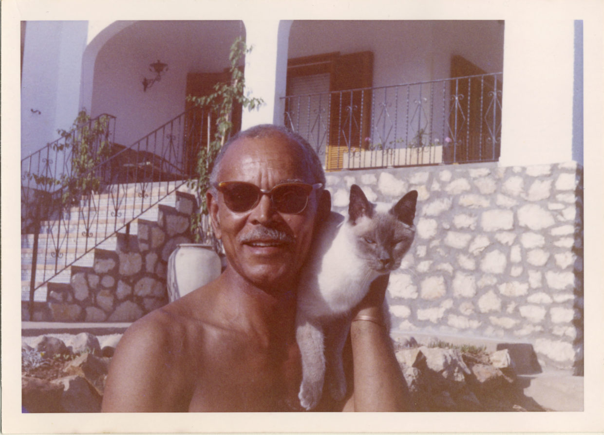 Literary Hub » From Chester Himes to Judy Blume, 10 Writers and Their Cats