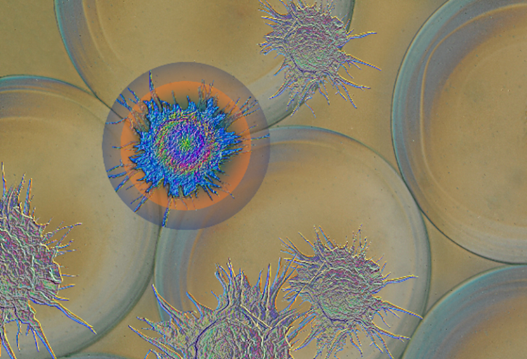 Literary Hub » How We Use Stunning Visuals to Tell the Stories of Science