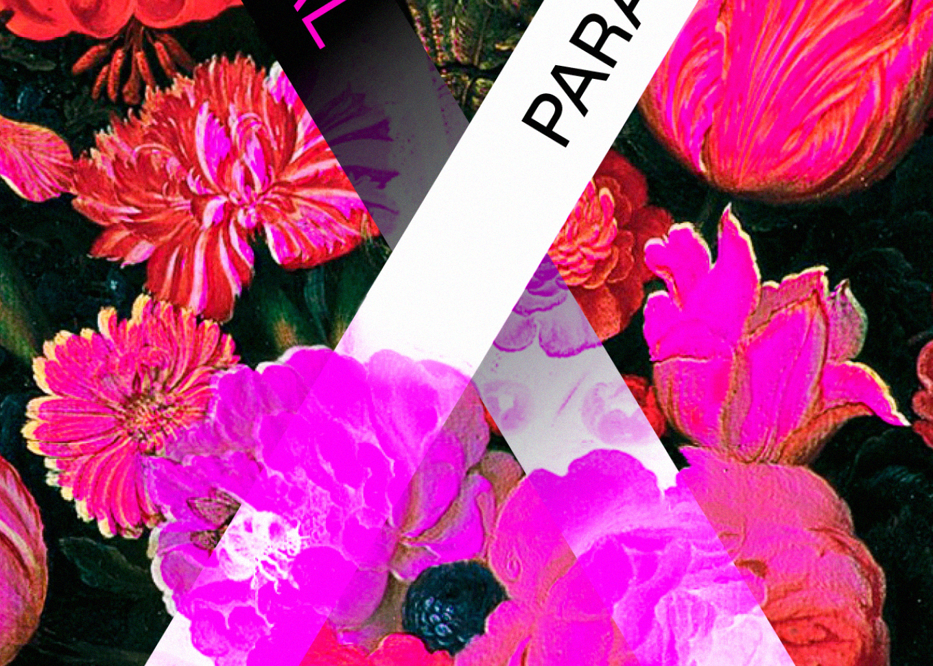 Literary Hub » How to Design a Book Cover… Backwards?