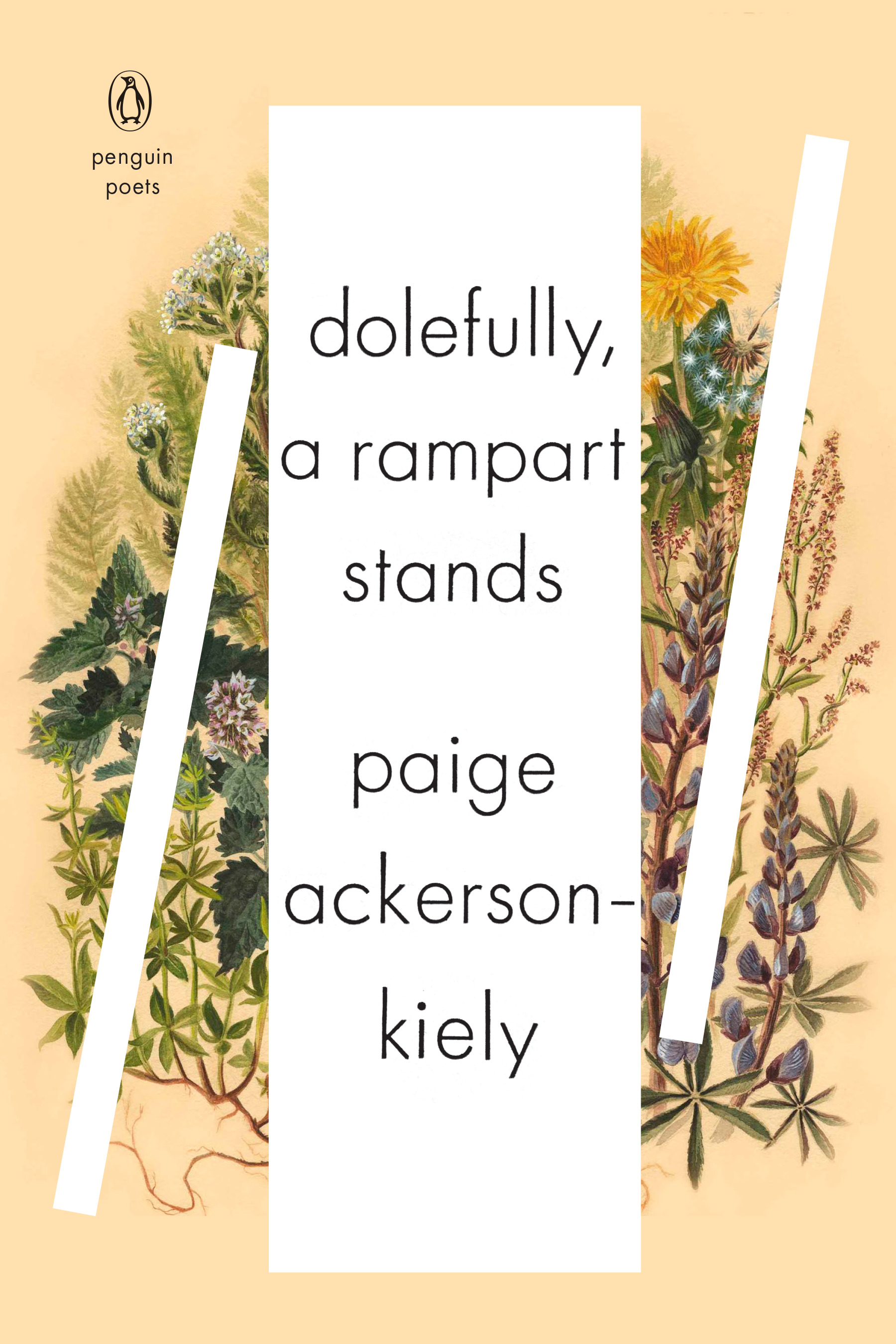 Literary Hub » ‘Captivity’A Poem by Paige Ackerson-Kiely