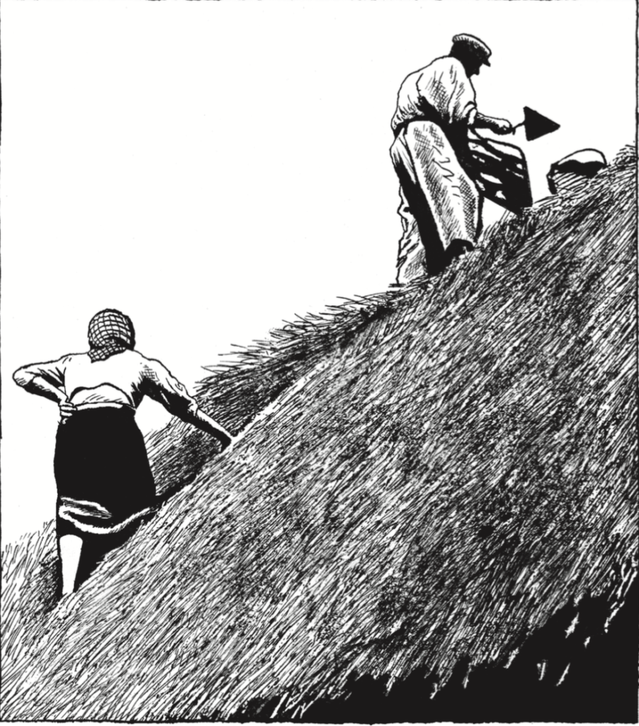 Literary Hub » Samuel Beckett, Thrower of Shade