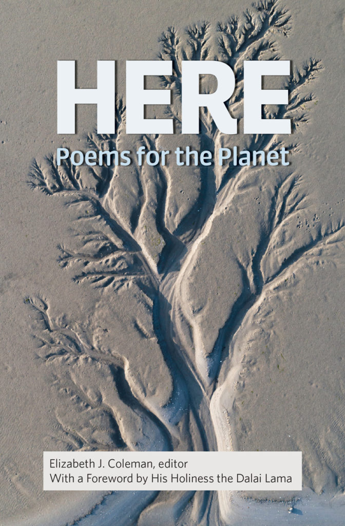 Literary Hub » Every Day is Earth Day: 365 Books to Start Your Climate ...