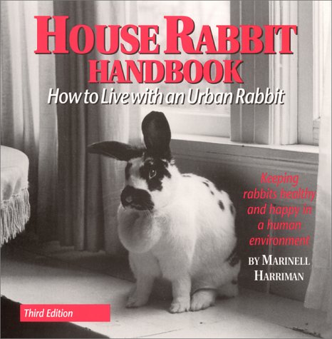 Literary Hub » Amy Sedaris has multiple copies of this book about rabbits.