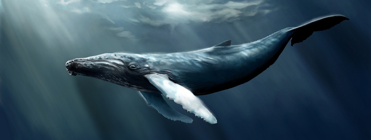 The Encyclopedic Genius of Melville’s Masterpiece ‹ Literary Hub