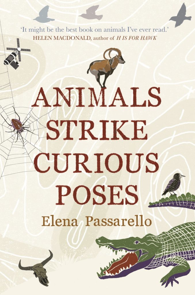 Literary Hub » The 10 Best Essay Collections of the Decade
