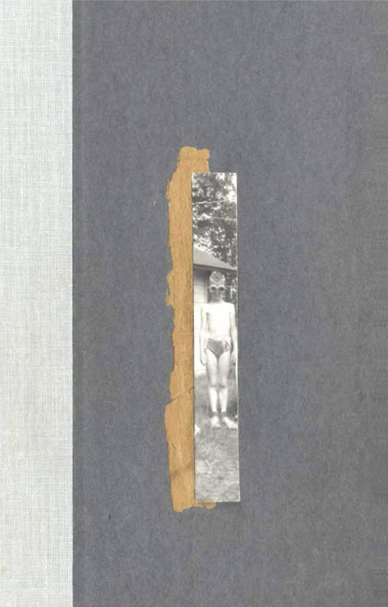 Literary Hub » The 10 Best Poetry Collections of the Decade