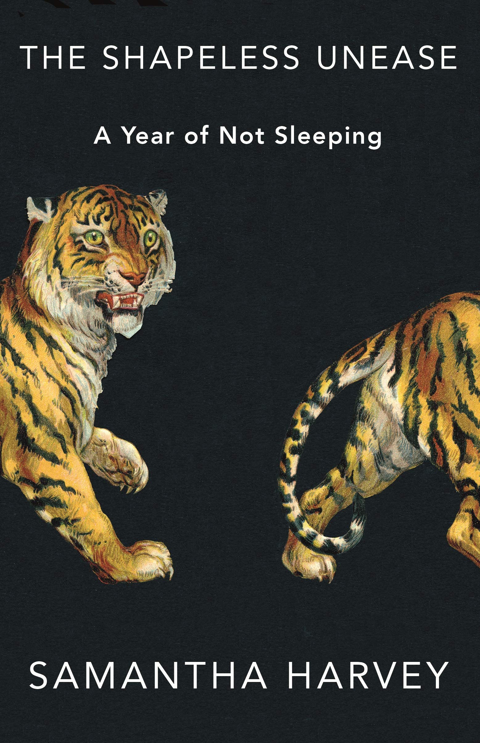 Literary Hub » Our Personalized Quarantine Book Recommendations, Round 5