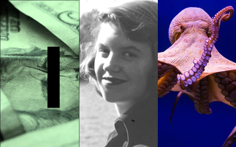 Literary Hub » Our Favorite Literary Hub Stories of 2019