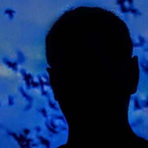 Literary Hub » A Poem From 13th Balloon by Mark Bibbins