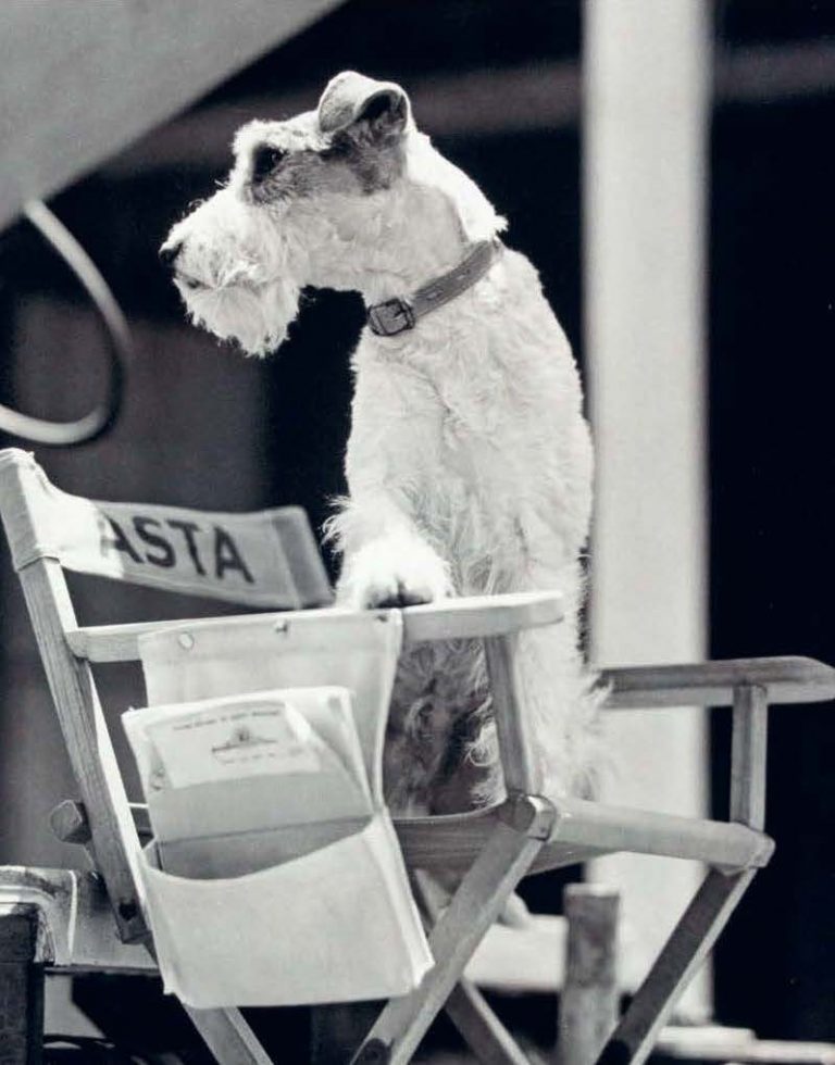 Please Take a Moment to Meet Some of Hollywood’s Legendary Leading ...