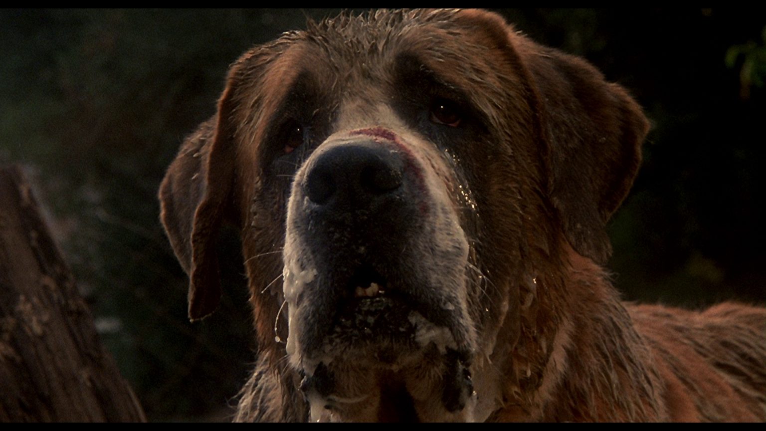 Please Take a Moment to Meet Some of Hollywood’s Legendary Leading ...