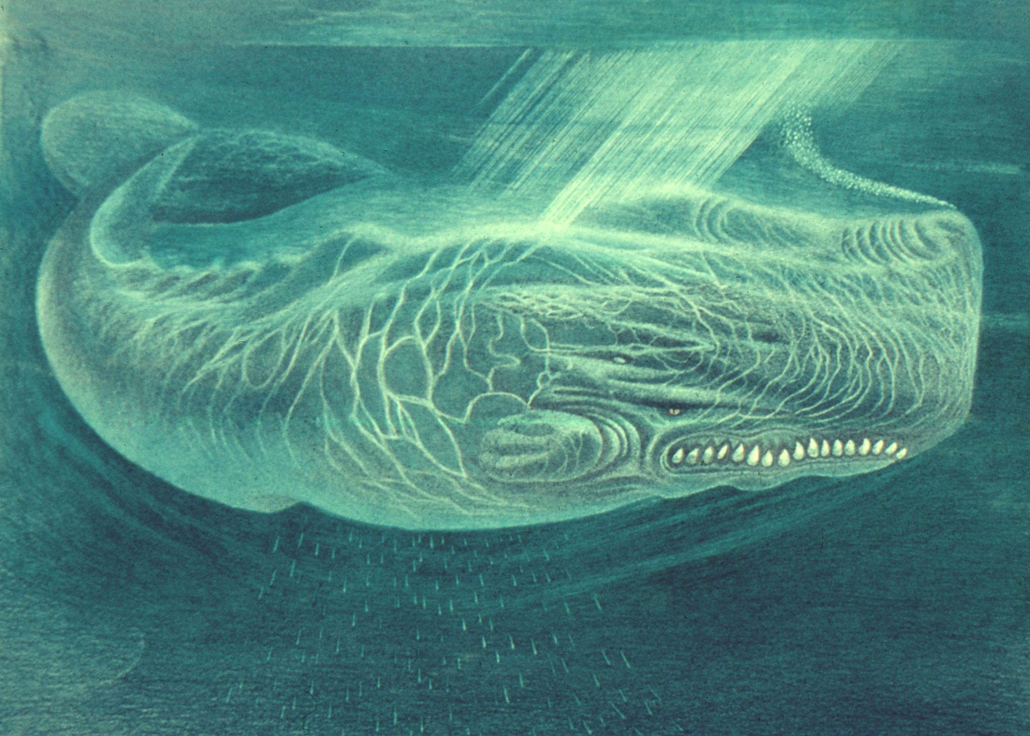 Literary Hub » Moby-Dick’s Powerful Message for the Atomic Age
