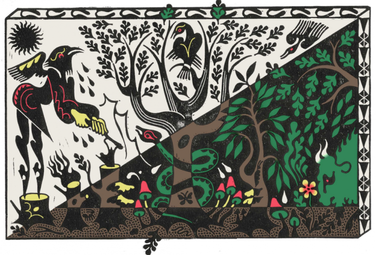 Literary Hub » Journeying into the Depths of Europe’s Oldest Primeval ...