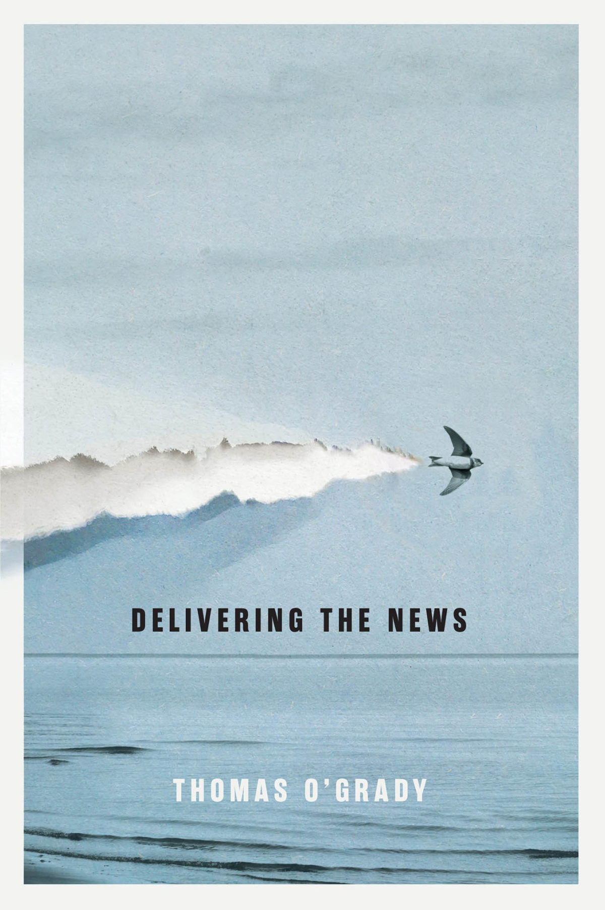 Literary Hub » These are the best university press book designs of 2019.