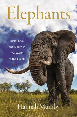 How Elephant Matriarchs Gain Power as They Age ‹ Literary Hub