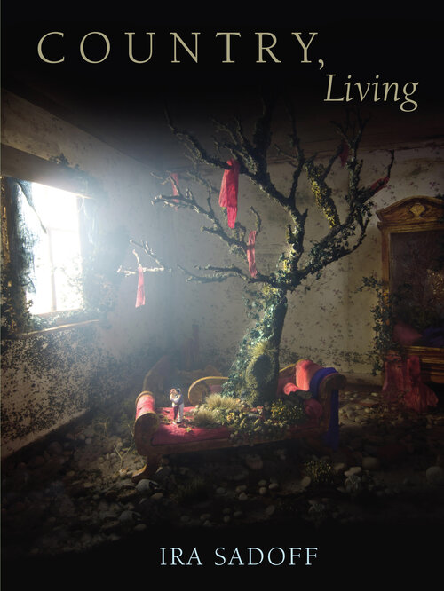 Literary Hub » Two New Poems by Ira Sadoff