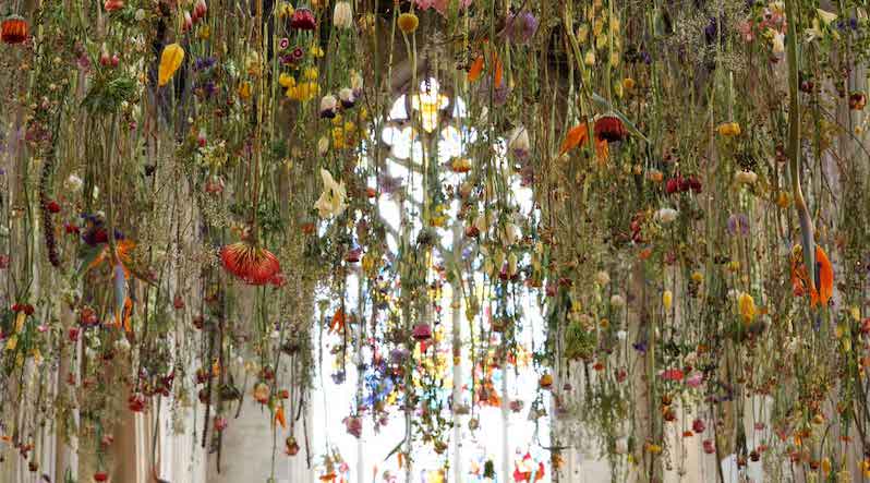 “Ode to the Corpse Flower” ‹ Literary Hub