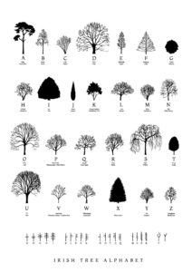 Literary Hub » On Planting Seeds, Excavating Language, and the Politics ...