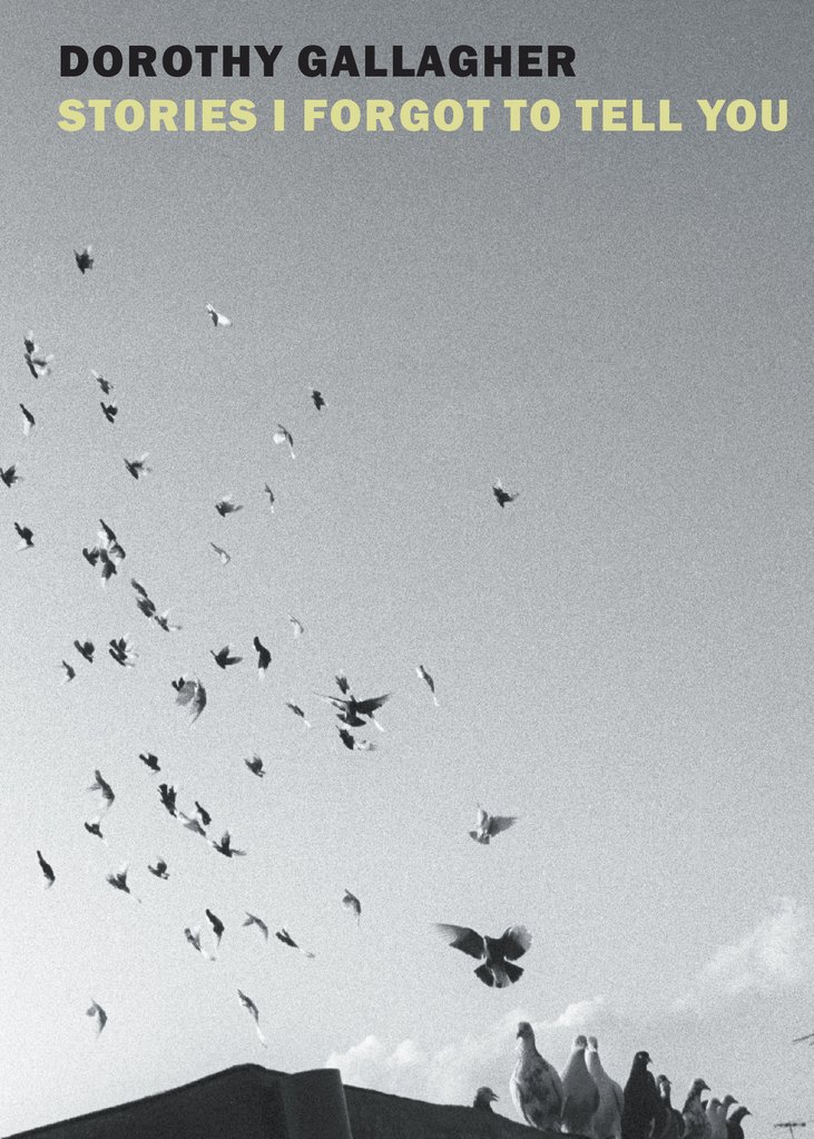 Dorothy Gallagher给已故丈夫Ben Sonnenberg的一封信，非常丰富