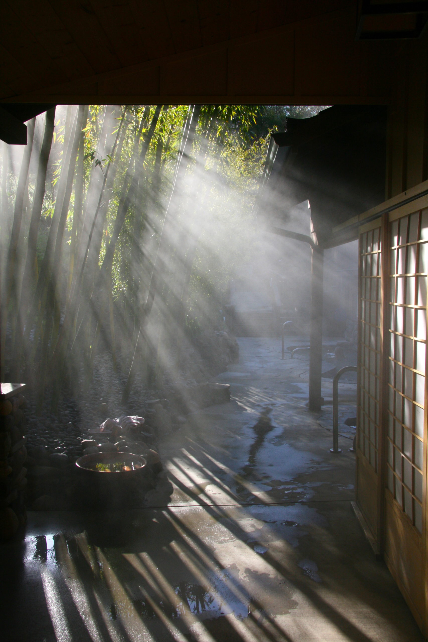 Literary Hub » A People’s History of Bathing