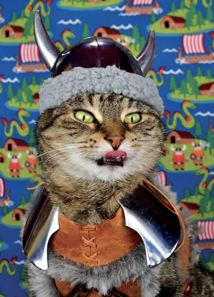 In Which a Cat Narrates Feline History in the Age of European Conquest ...