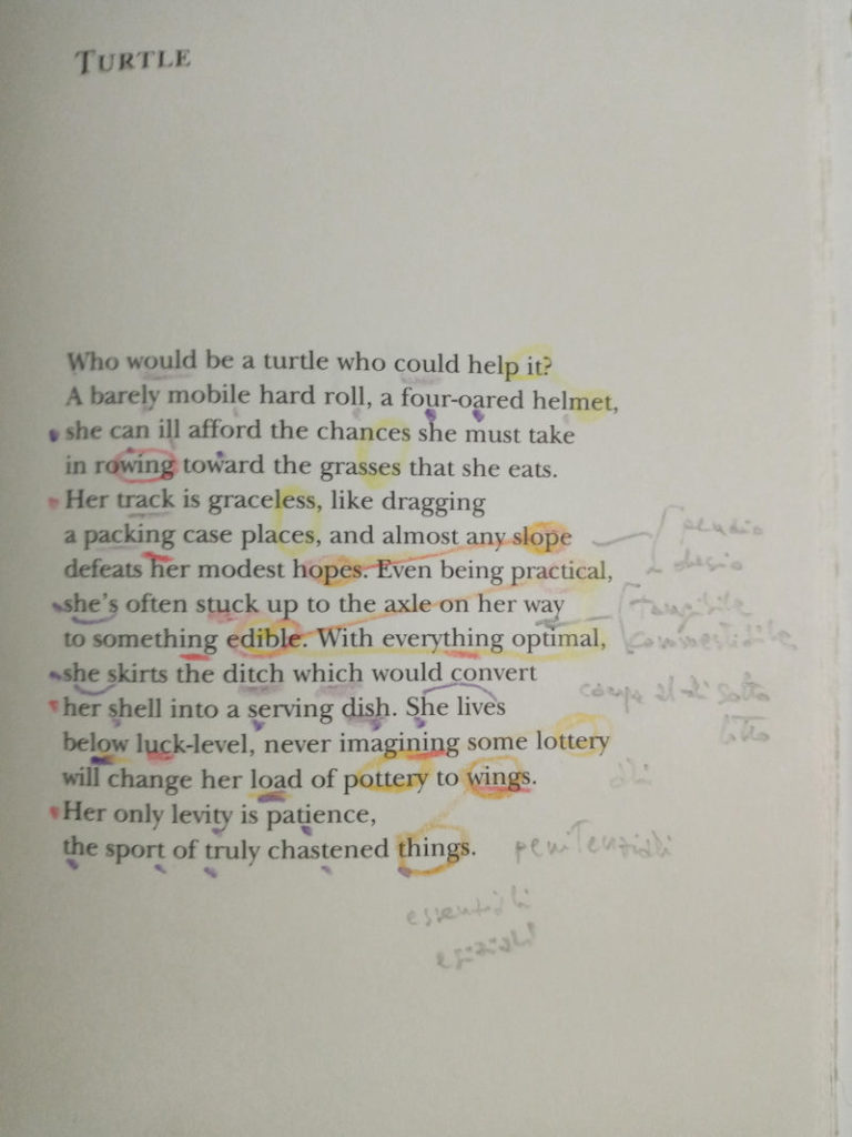 Literary Hub » On Translating Poems While Riding the Metro in Rome