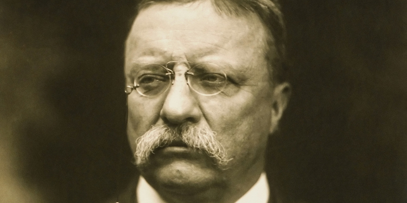 Lessons in Self-Invention and Reinvention from Theodore Roosevelt ...