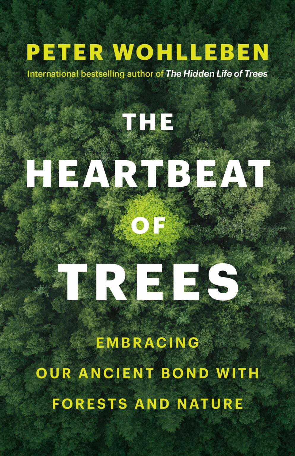 Literary Hub » How the Language of Trees is Everywhere Around Us