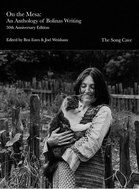 Literary Hub » When Activist Poets Took Over a Tiny California Town