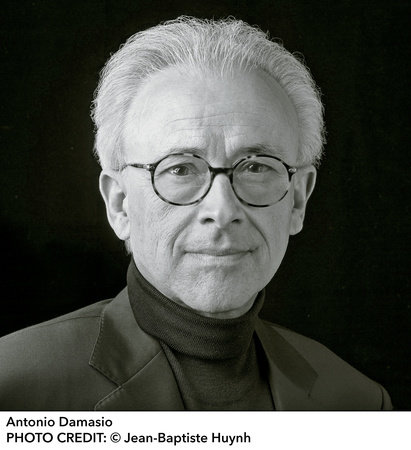 Antonio Damasio ‹ Literary Hub