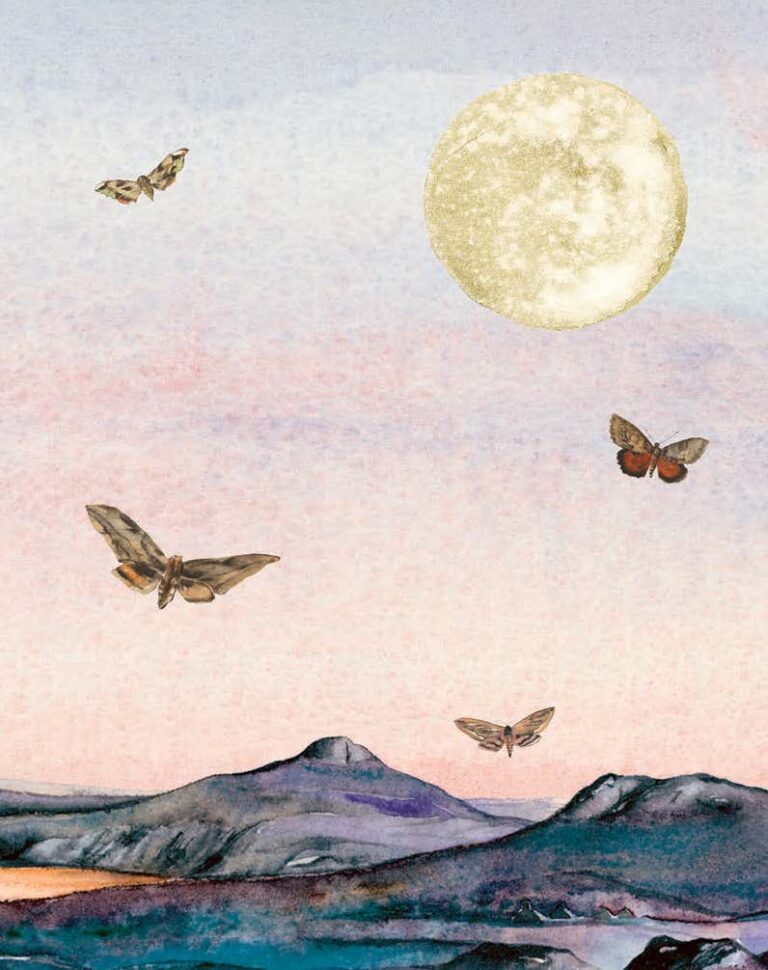 Literary Hub » On Stealing Time to Make Art in an Overcrowded Life