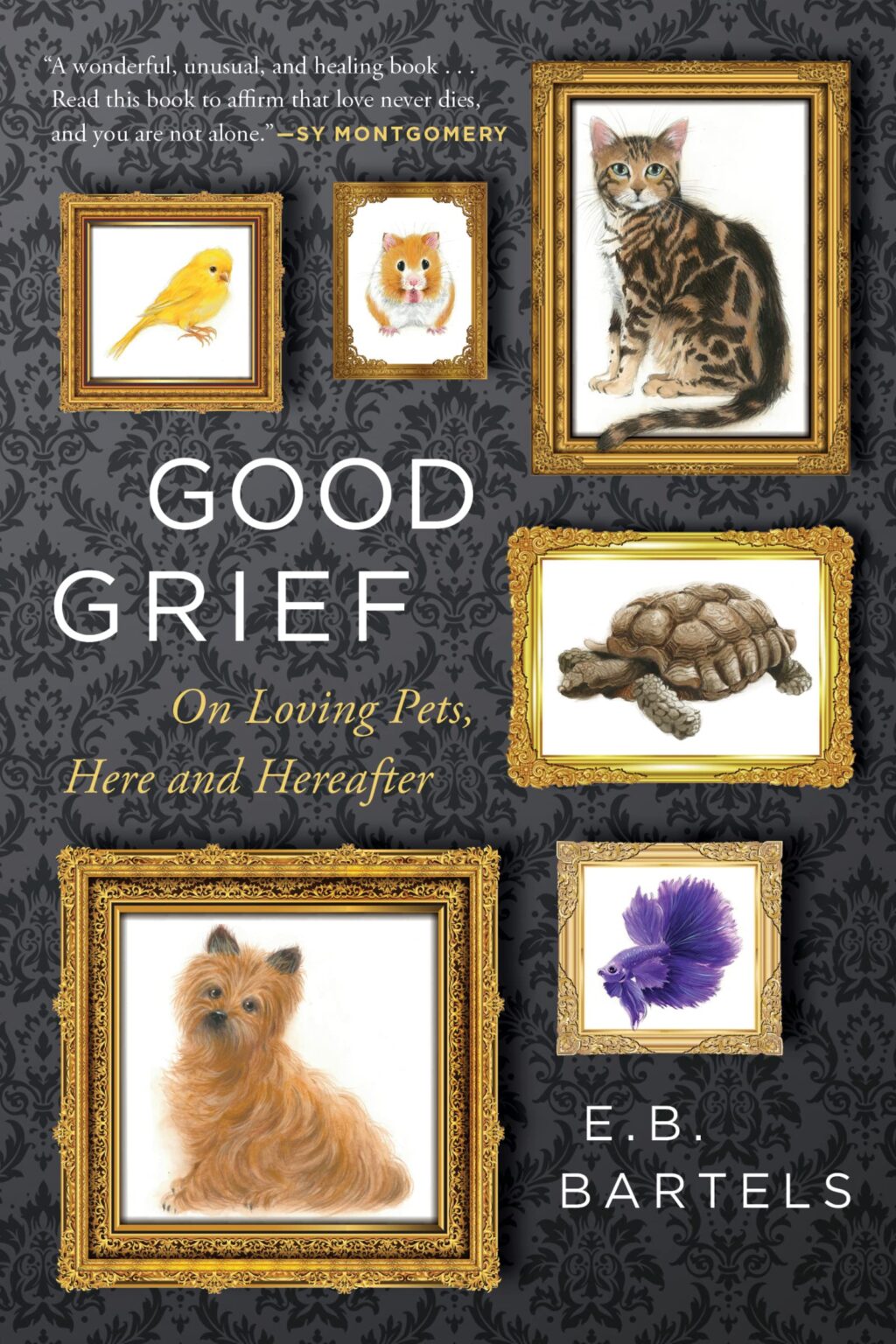 Visiting Mariah Careys Cats Grave Reflections On Disenfranchised