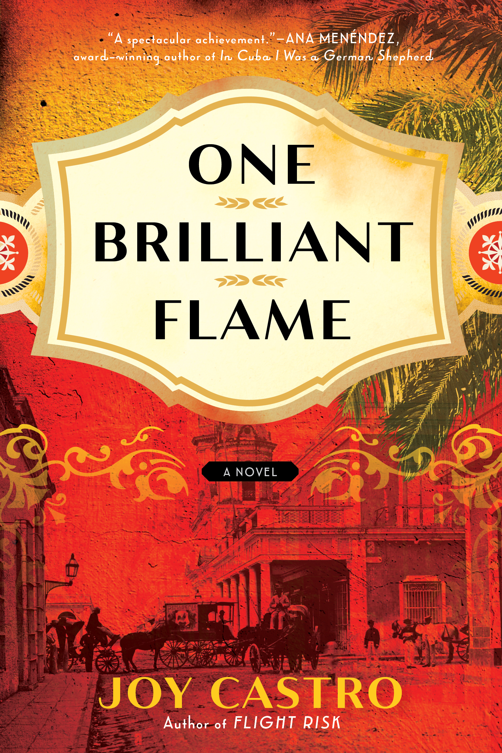 See the cover for Joy Castro’s One Brilliant Flame. ‹ Literary Hub ...