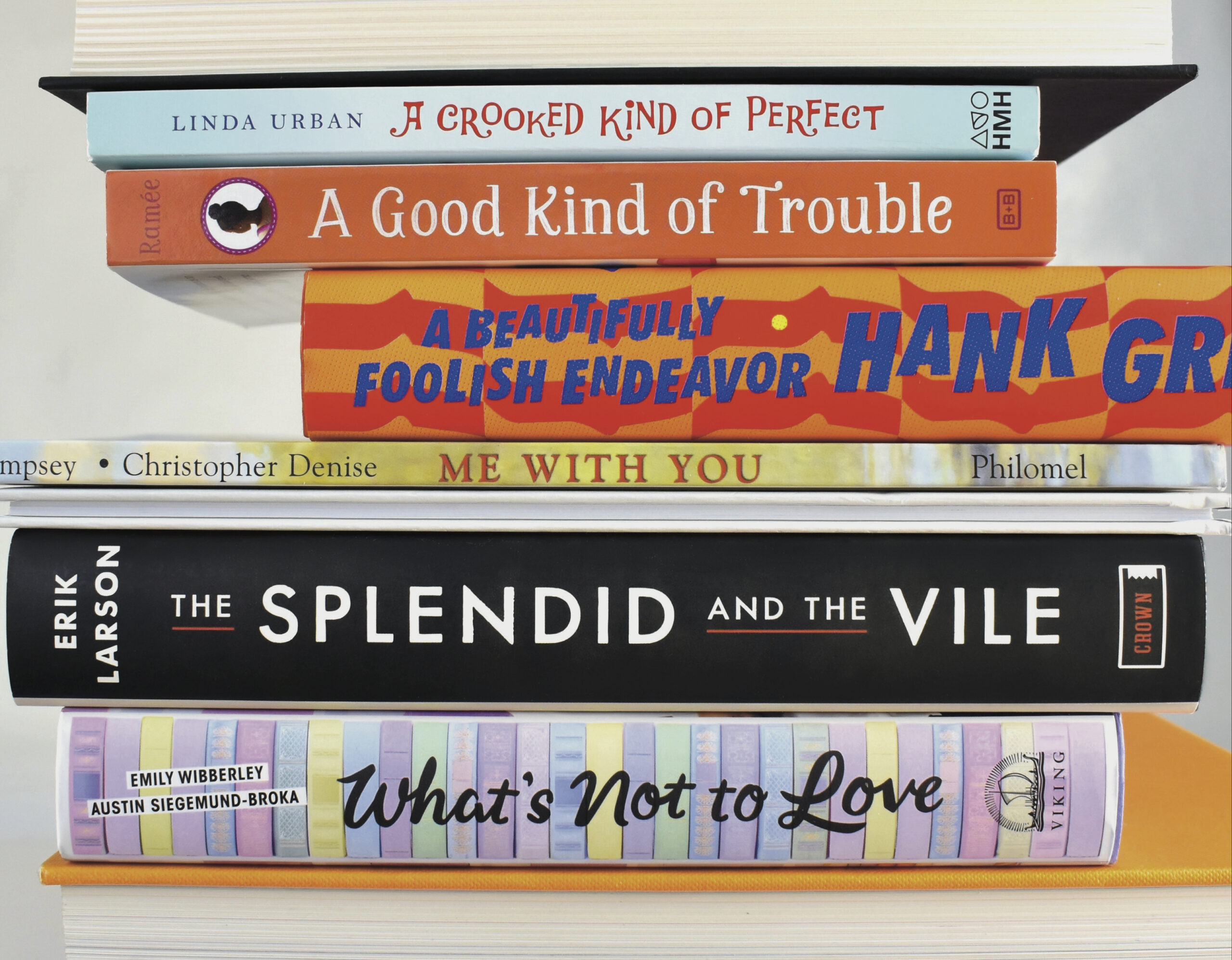 Literary Hub » Read Some of Annette Dauphin Simon’s Book Spine Poetry