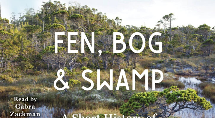 Behind the Mic ‹ Literary Hub