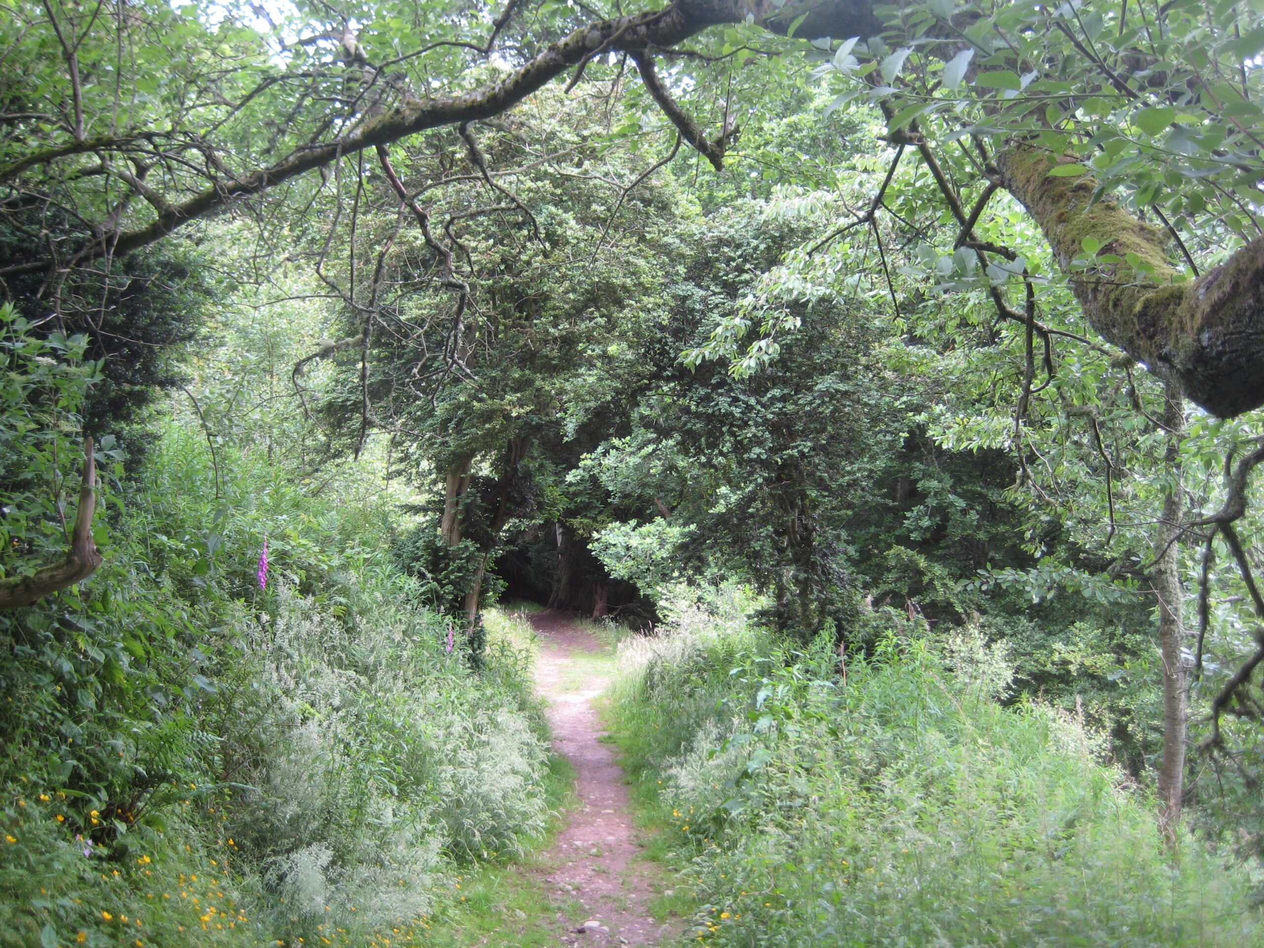 On Disrupting a Cherished Musical Tradition and Creating New ...