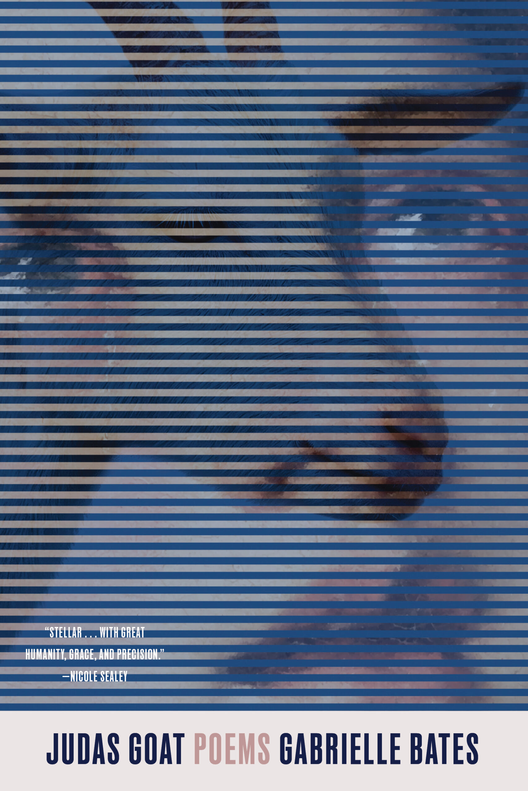 Literary Hub » The 11 Best Book Covers of January