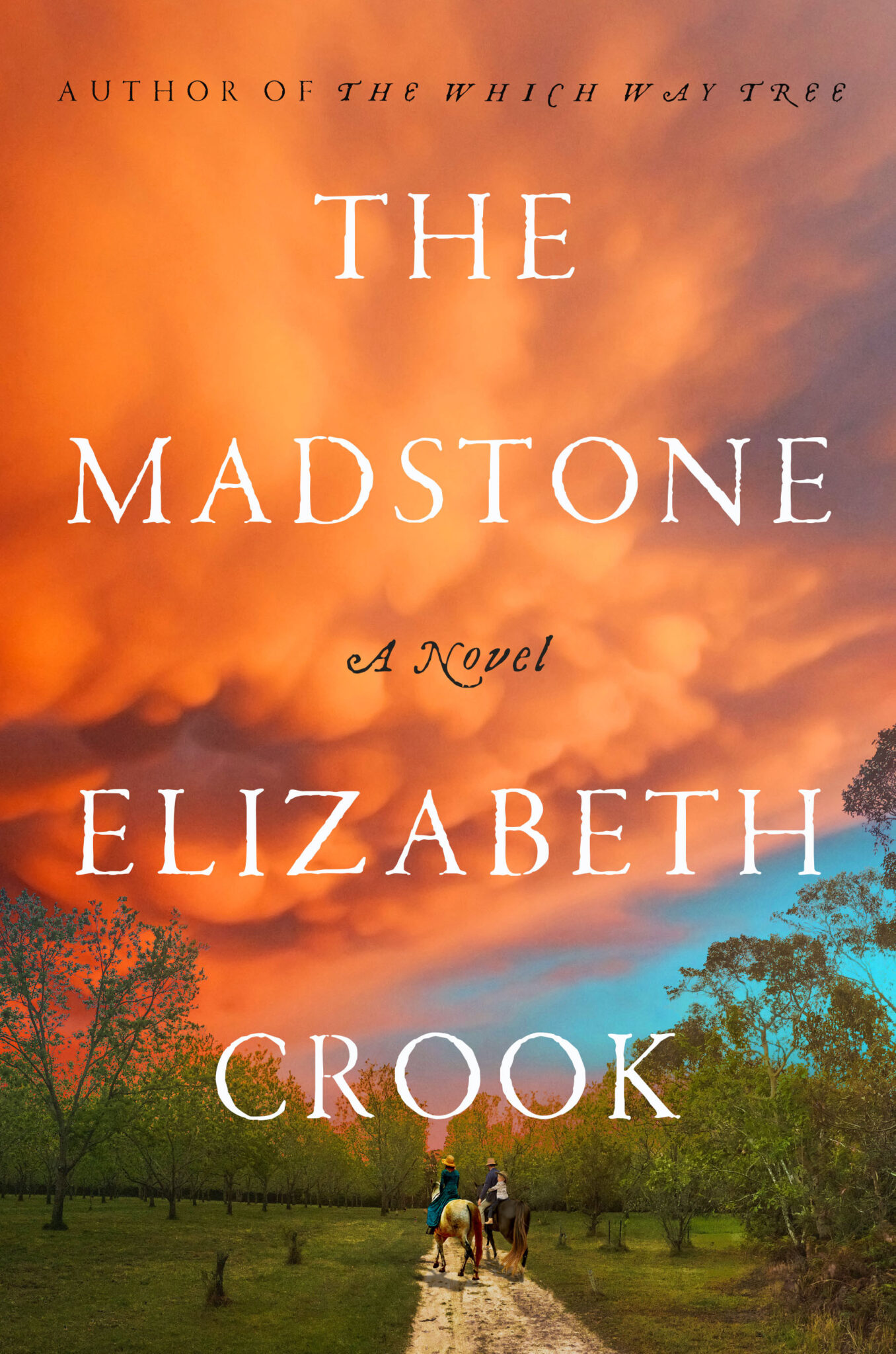 Literary Hub » Exclusive cover reveal: Elizabeth Crook’s The Madstone