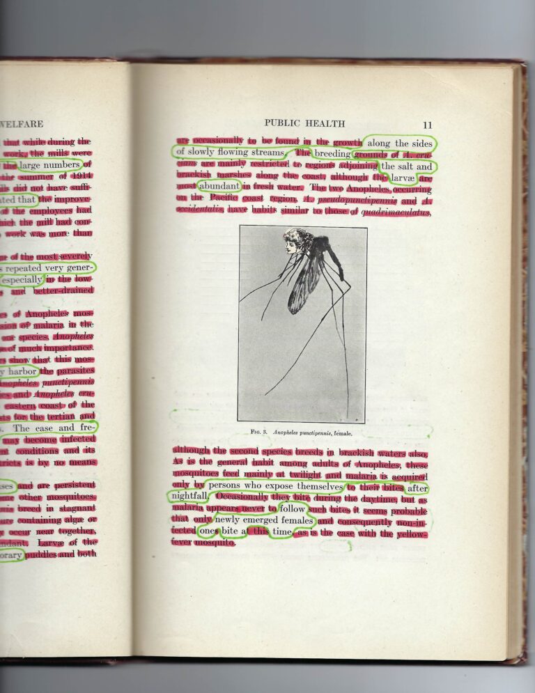 Literary Hub » The Old Becomes the New: Lawrence Sutin on the Art of ...