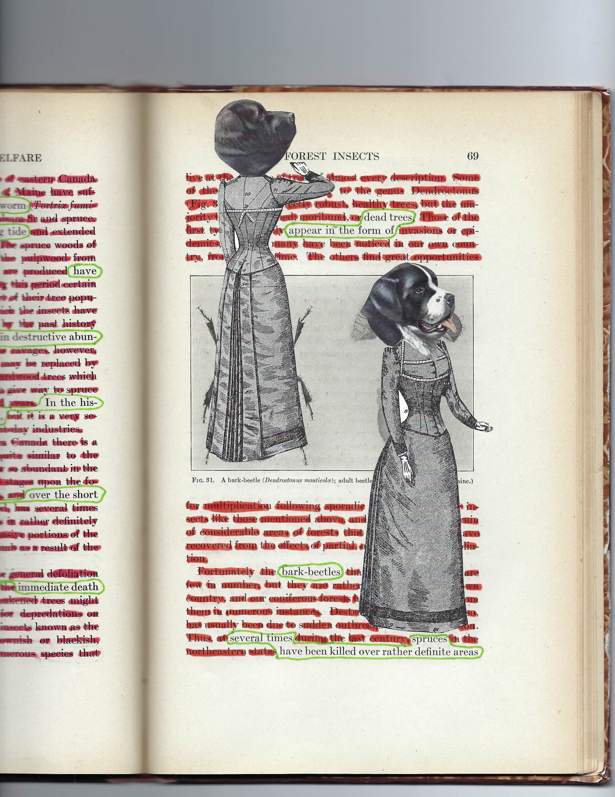 Literary Hub » The Old Becomes the New: Lawrence Sutin on the Art of ...