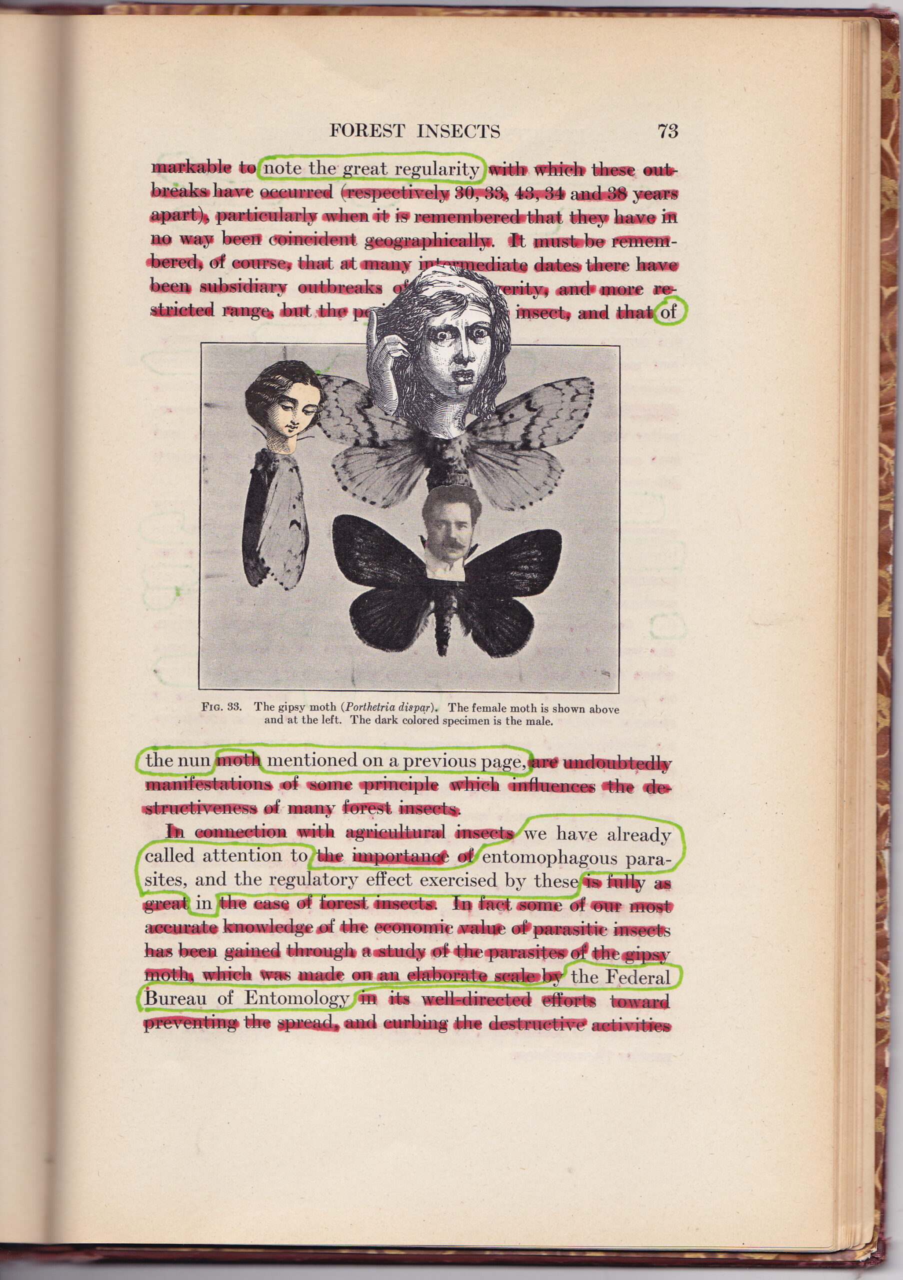 Literary Hub » The Old Becomes the New: Lawrence Sutin on the Art of ...