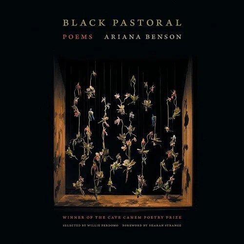 Literary Hub » A Month of Poetic Acrobatics: 7 New Poetry Books to Read ...