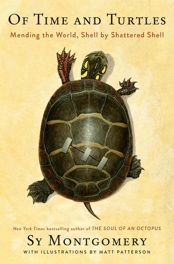 Familiar Yet Strange: Why Turtles Are Worth Saving ‹ Literary Hub